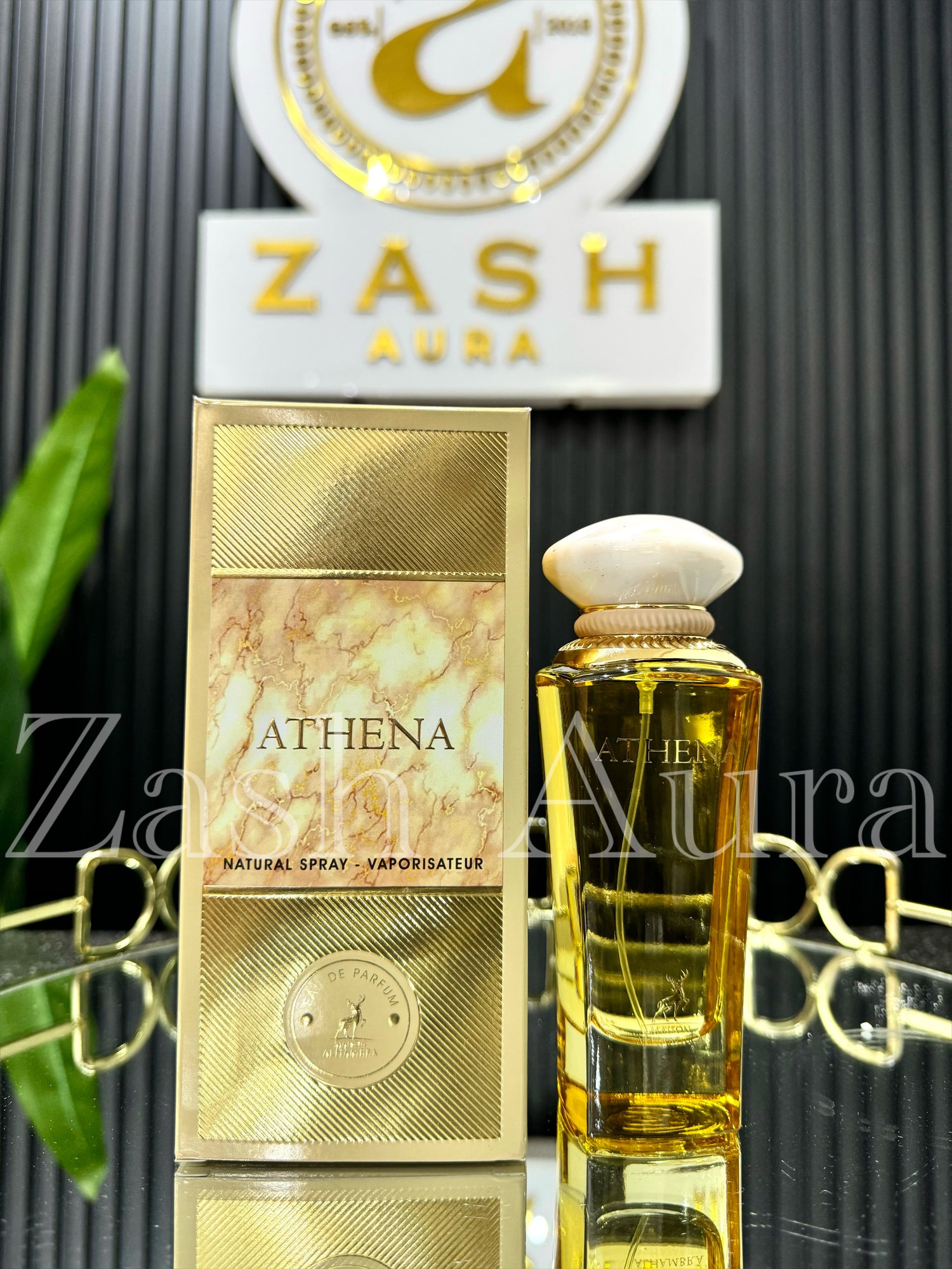 the official club intense edp 100ml for men – Zash Aura